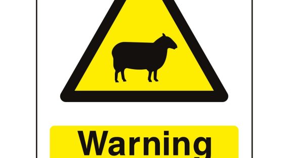 Blog | Online Safety Sign Shop